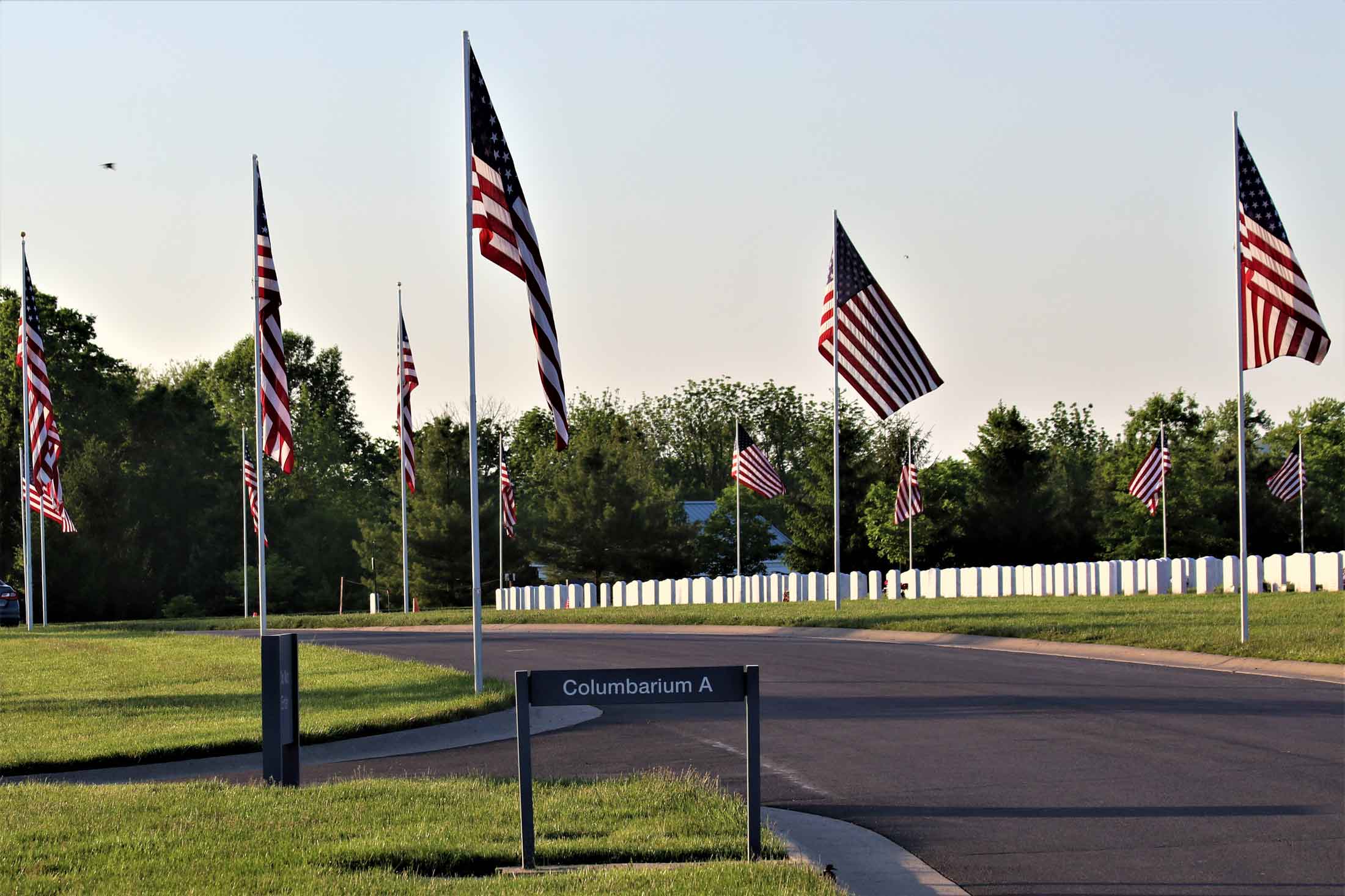 Avenue of Flags - Guardians of the National Cemetery